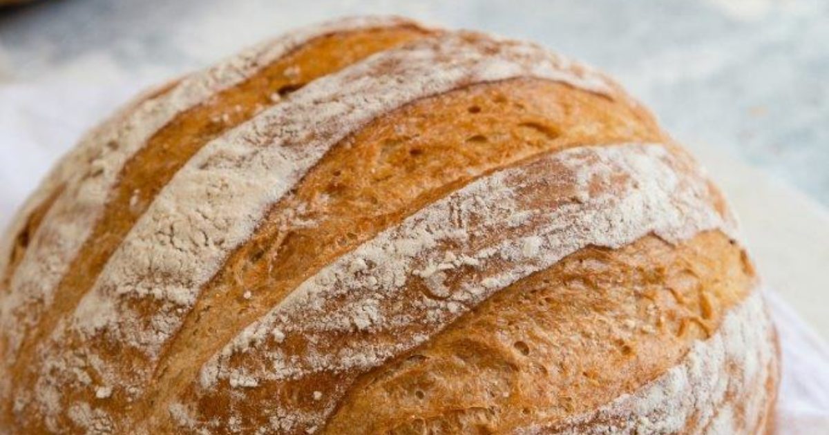 Andrew Ingredients | WorkWith 30% Sourdough Concentrate 25kg