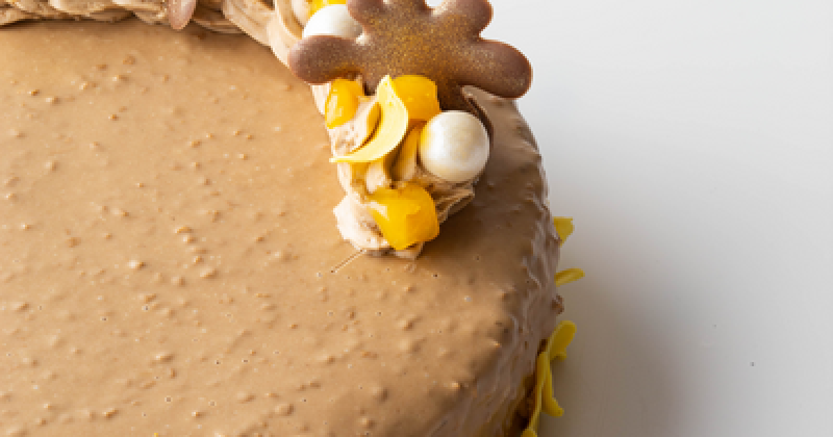 Andrew Ingredients | IRCA Chocosmart Caramel Crumble